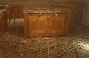 How to Take Down Lath and Plaster Ceilings (mess and all...) ⋆ ...