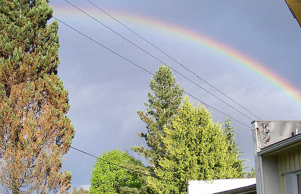 How to Check and Maintain your Guttering or Rainwater System ⋆ New